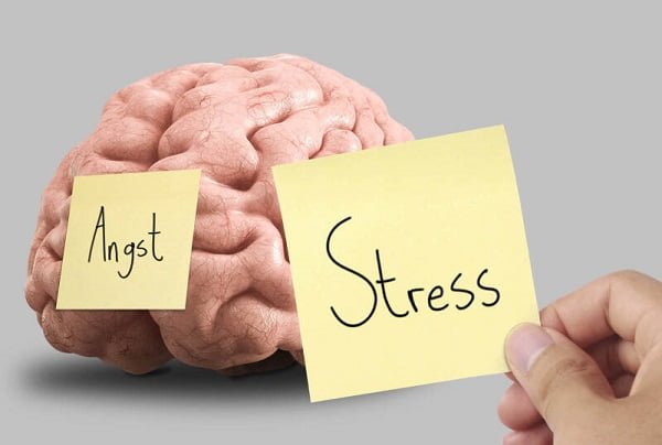 Stress Symptomer | En komplet guide over mulige symptomer
