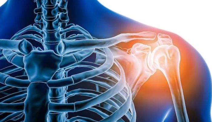 Skulderens anatomi - kroppens mest komplekse led